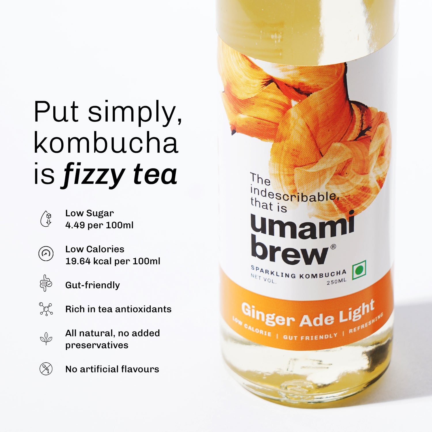 GINGER ADE LIGHT – Umami Brew
