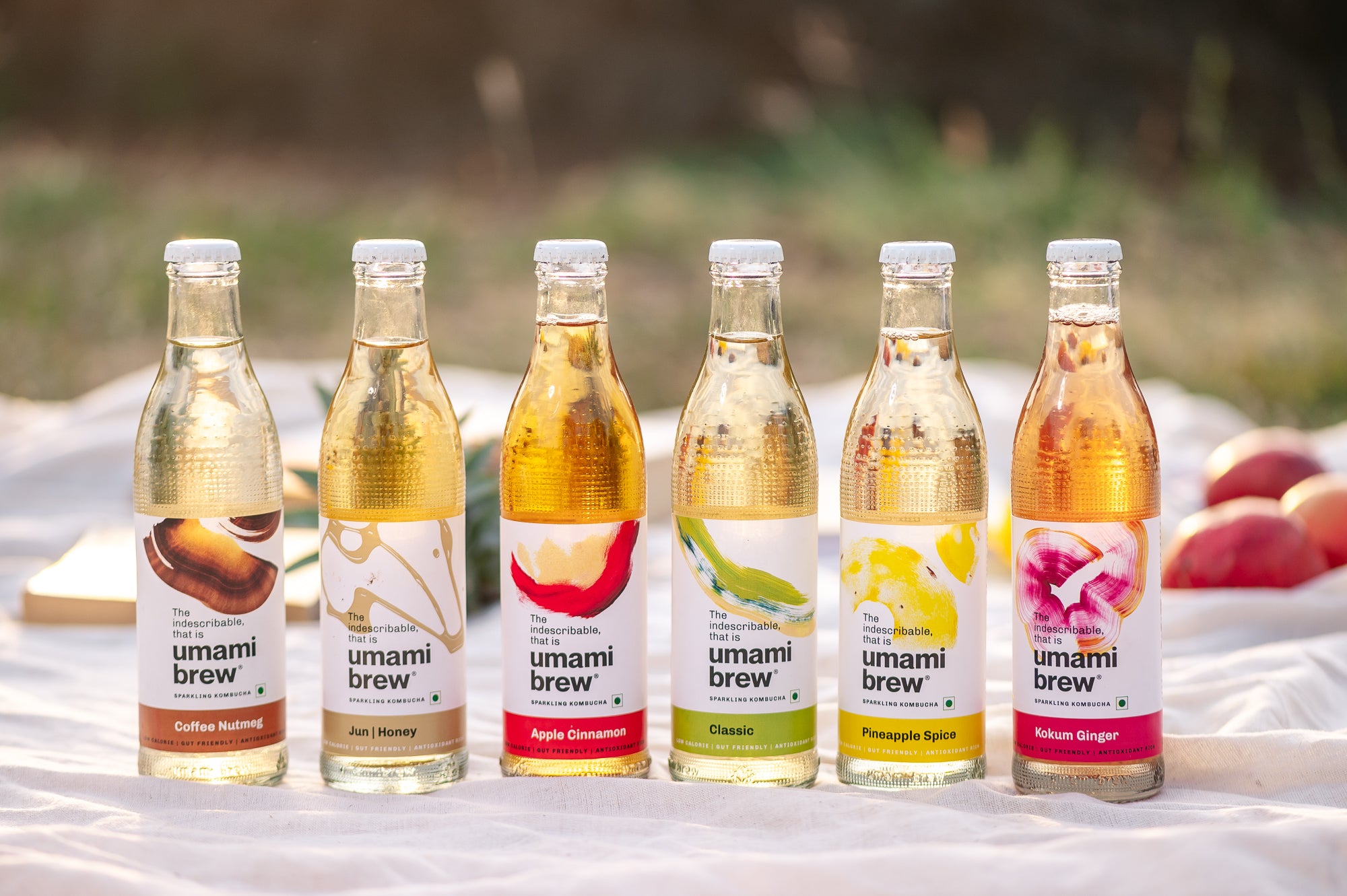 umami brew | Buy Kombucha Online – Umami Brew