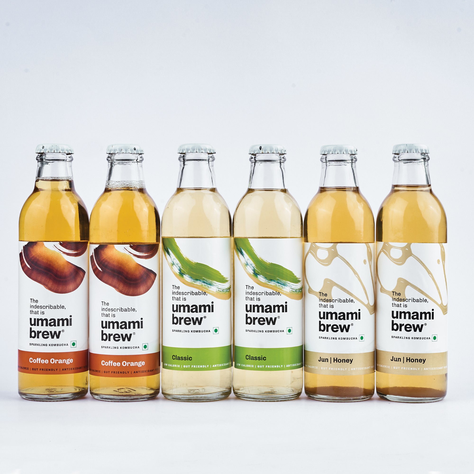 umami brew | Buy Kombucha Online – Umami Brew