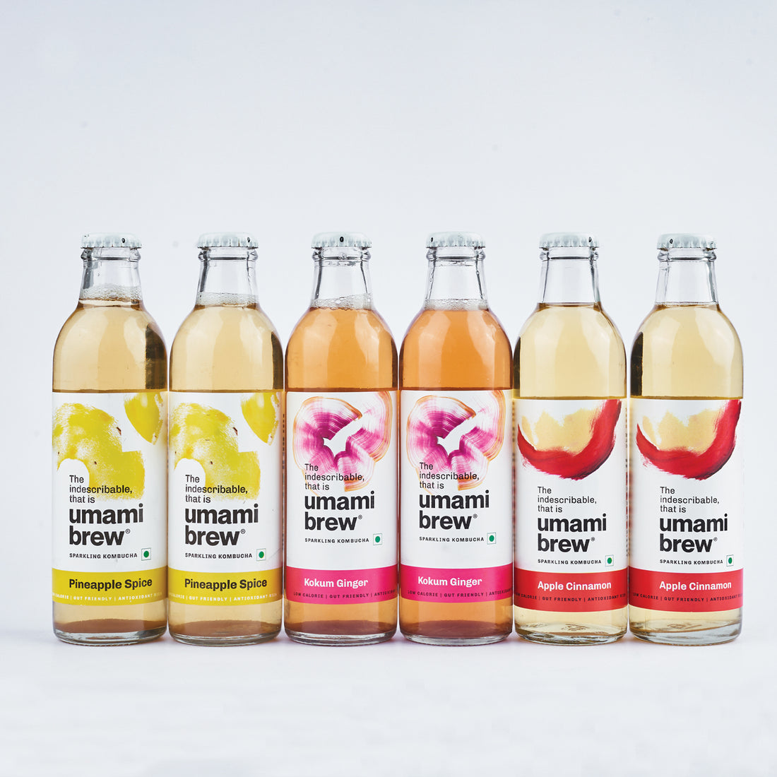 umami brew | Buy Kombucha Online – Umami Brew